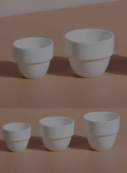 Taster Cups