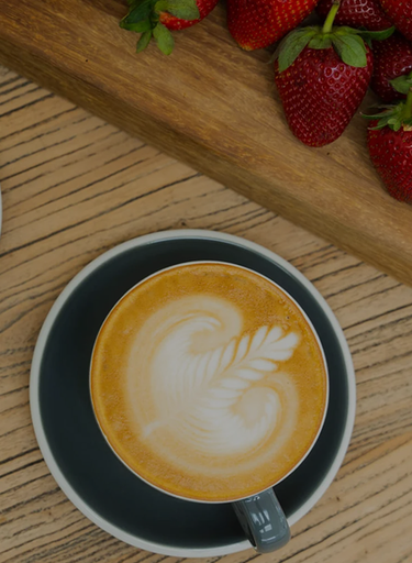 Porcelain Specialty Cups - Acme and Co