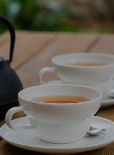 Porcelain Specialty Cups - Acme and Co